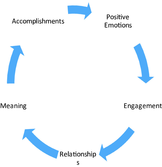Nurturing Collective Flourishing Through the Happiness Curriculum: A ...