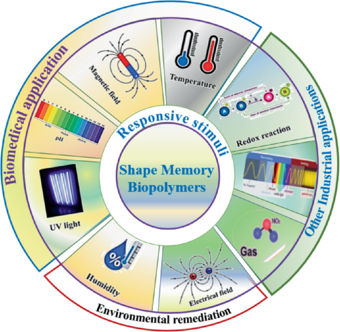 Shape Memory Biopolymers: Design, Synthesis, and Applications ...