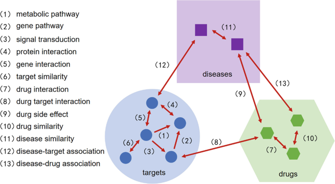 Network Pharmacology and Drug Repurposing | Springer Nature Link