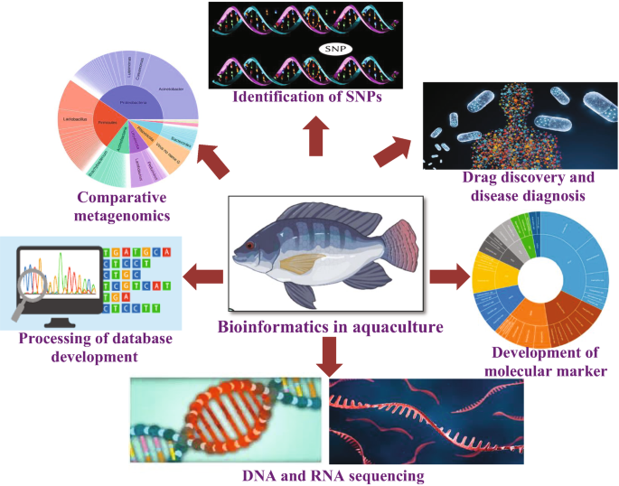 Bioinformatics Tools for Aquaculture Disease Management | Springer ...