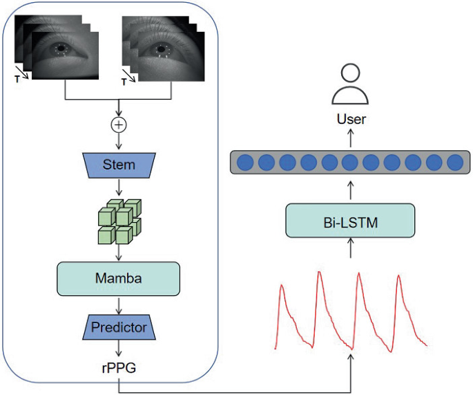 Eye-PPG: Remote PPG Signal Generation for Heart-Rate Estimation and ...