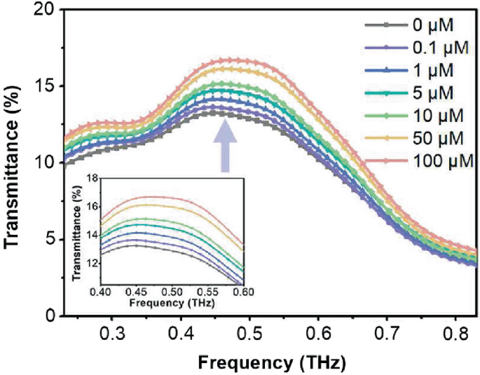 Application of Terahertz Time-Domain Spectroscopy in the Biomedical ...