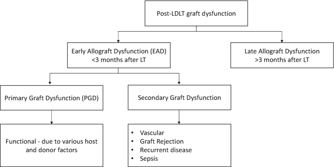 Early Allograft Dysfunction After Liver Transplantation | Springer ...