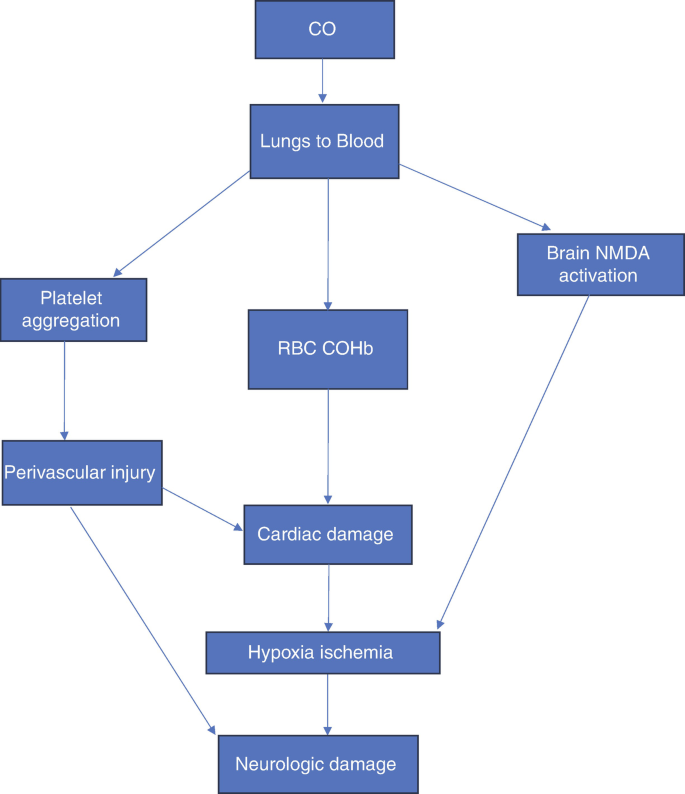 CO Poisoning | SpringerLink