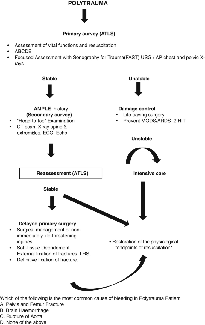 Approach to a Patient with Limb Injury | Springer Nature Link (formerly ...
