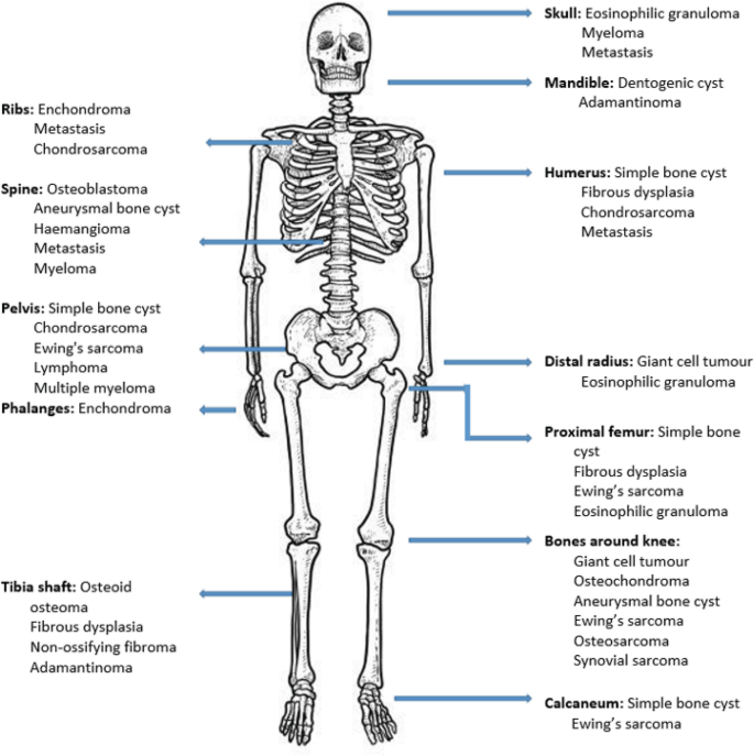 Approach to a Patient | Springer Nature Link (formerly SpringerLink)