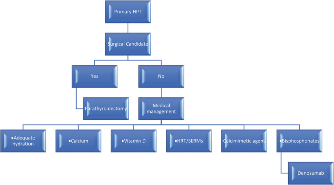 Hyperparathyroidism | Springer Nature Link (formerly SpringerLink)