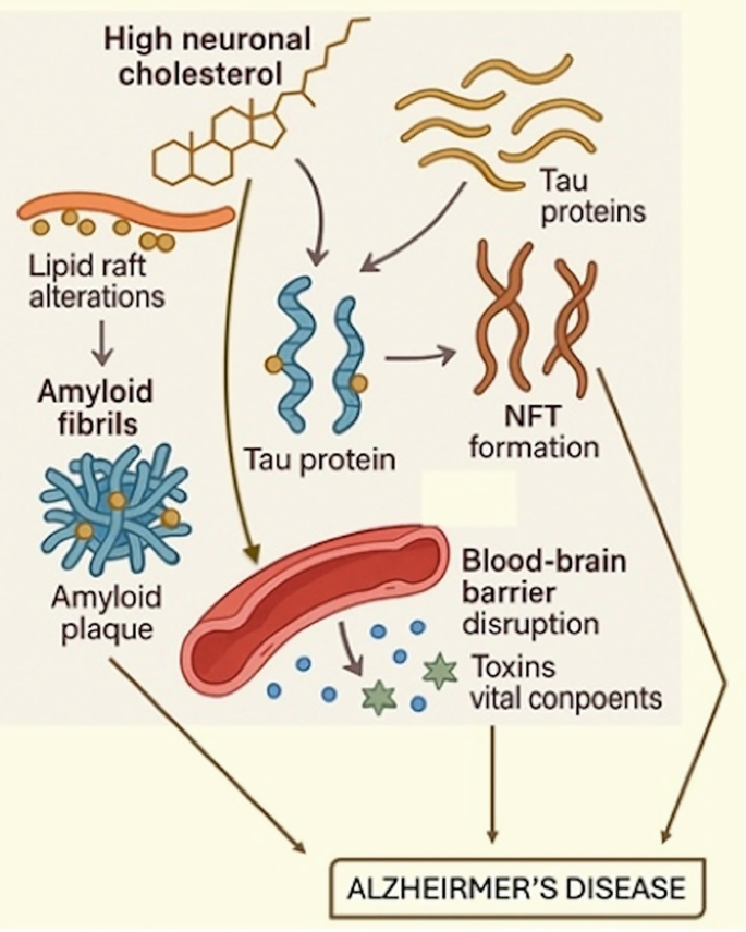 Alzheimer’s Disease: Pathophysiological and Therapeutical Insights ...
