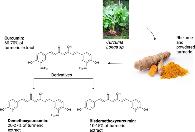 Emerging Trends in Therapeutic Potential of Curcumin in Alzheimer’s ...