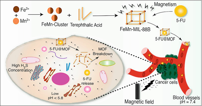 Stimuli-Responsive Metal–Organic Frameworks for Cancer Therapy ...