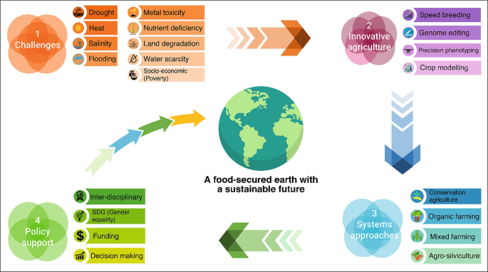 Sustainable Crops for Future Food Security: Challenges, Innovations ...