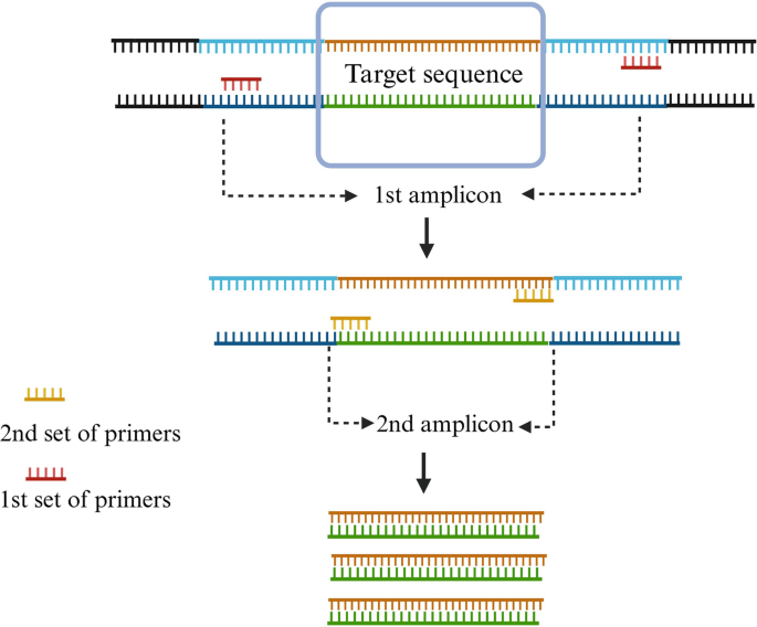 Advancements in Diagnostic Tools for Rapid and Sensitive Detection of ...