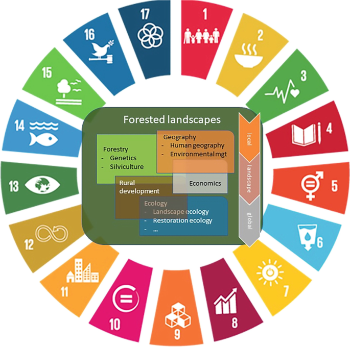 Decision-Making in Forest Landscape Restoration | Springer Nature Link