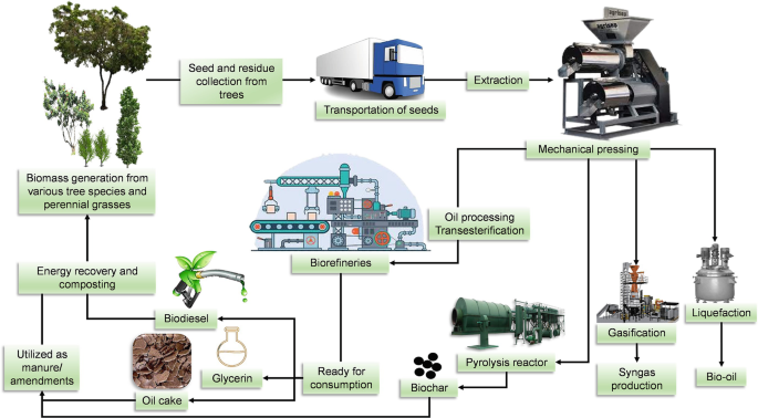 Enhancing Biomass Production on Marginal Land: Avenue for Land ...
