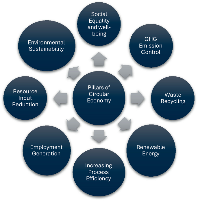 Barriers to Circular Economy Implementation: Examining Regulatory and ...