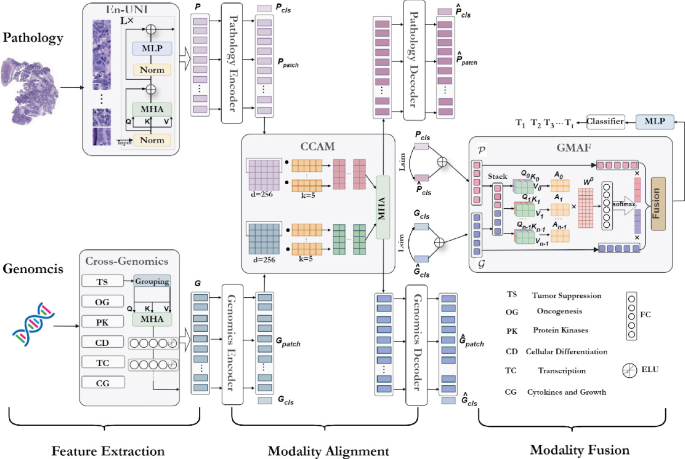 A Multimodal Fusion Framework Employing Full-Stage Attention for ...