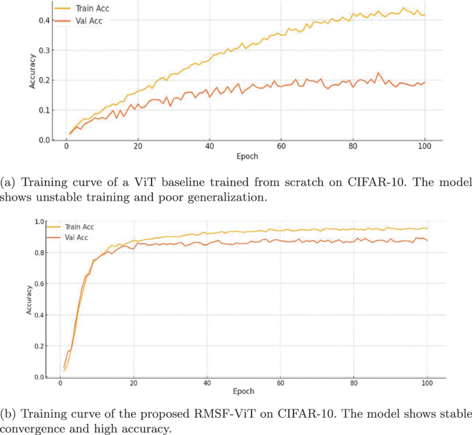 RMSF-ViT: Randomized Multi-scale Fusion Vision Transformer | Springer ...