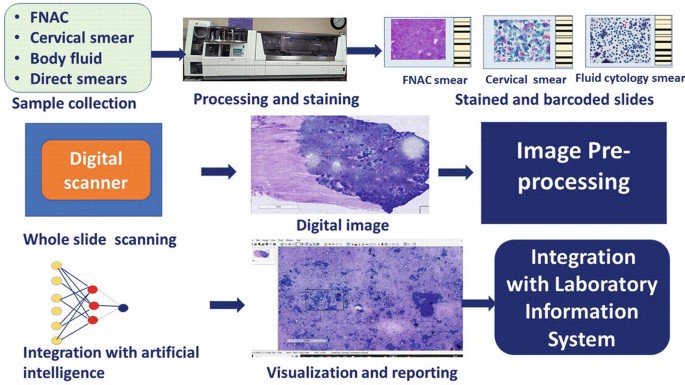 Digital Workflow in Cytology | Springer Nature Link