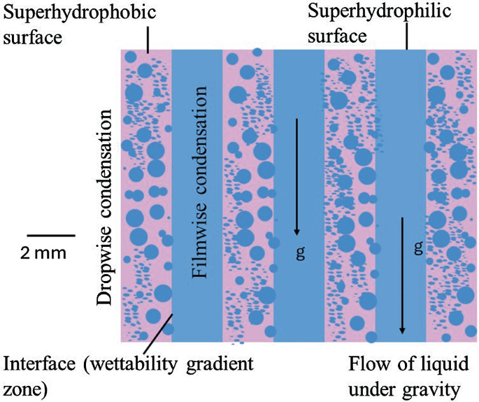 Filmwise and Dropwise Condensation | Springer Nature Link