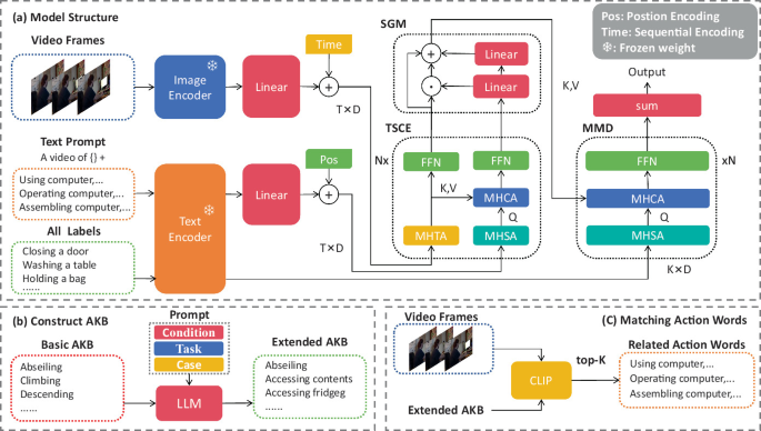 A Video Action Recognition Model Guided by Temporal Action Semantics ...