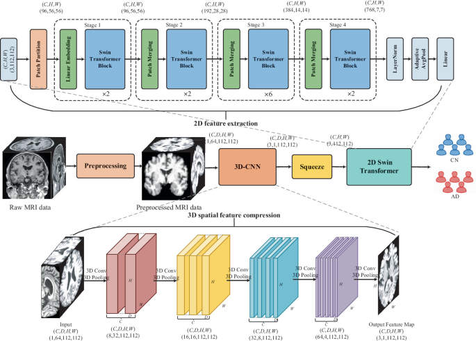 A 2.5D Deep Learning Model Based on 3D CNN and 2D Swin Transformer for ...