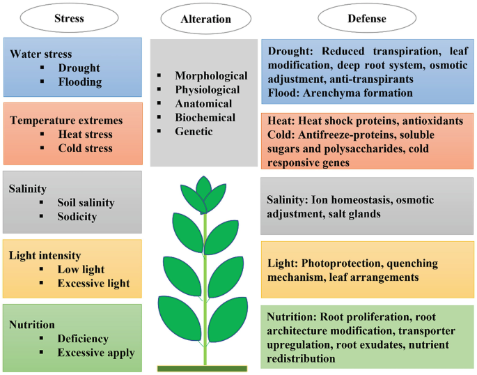 Plant Defense Mechanisms Against Abiotic Stresses | Springer Nature Link