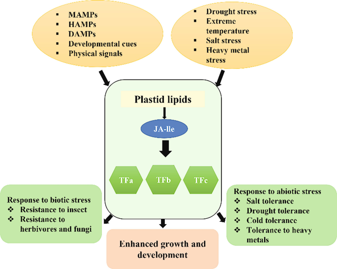 Plant Defense Mechanisms Against Abiotic Stresses | Springer Nature Link