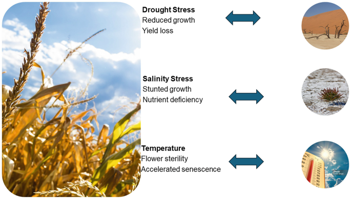 Abiotic Stress Elicitors: Mechanisms and Responses to Drought, Salinity ...