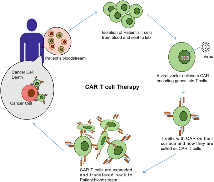 Personalized CAR T-Cell Therapy: Tailoring to Patient-Specific Tumors ...