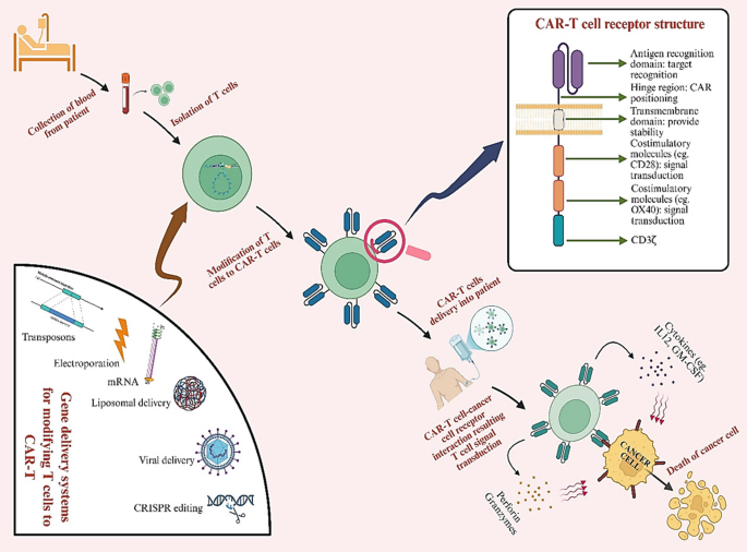 Engineering CAR T Cells: Advances in Vector Design and Gene Editing ...