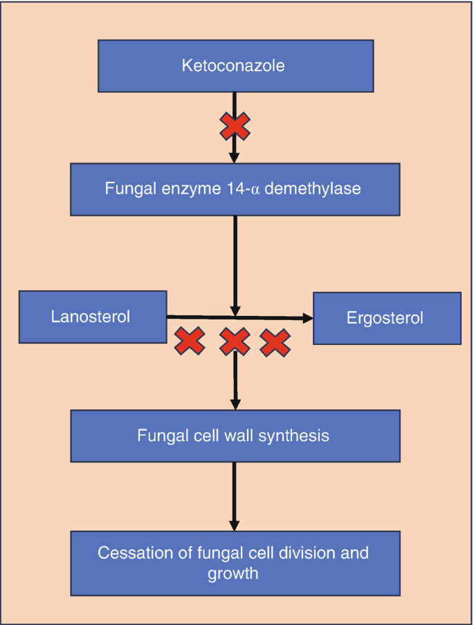 Azole Antifungals | Springer Nature Link