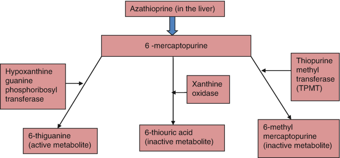 Azathioprine | Springer Nature Link