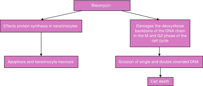 Bleomycin | Springer Nature Link