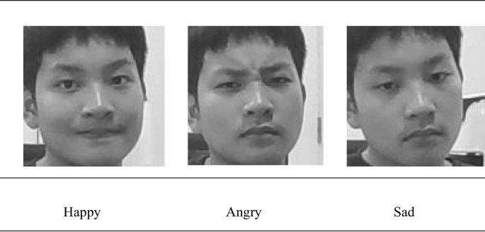 Deep Learning-Based Emotion Recognition in Children with Real-Time Web ...