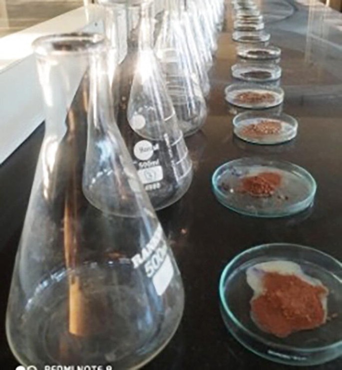Particulate Organic Matter-Carbon and Mineral Associated Organic Carbon ...