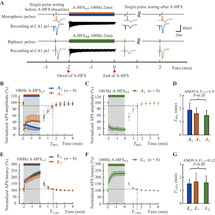 Neuronal Responses to Both Negative and Positive Pulses During HFS ...