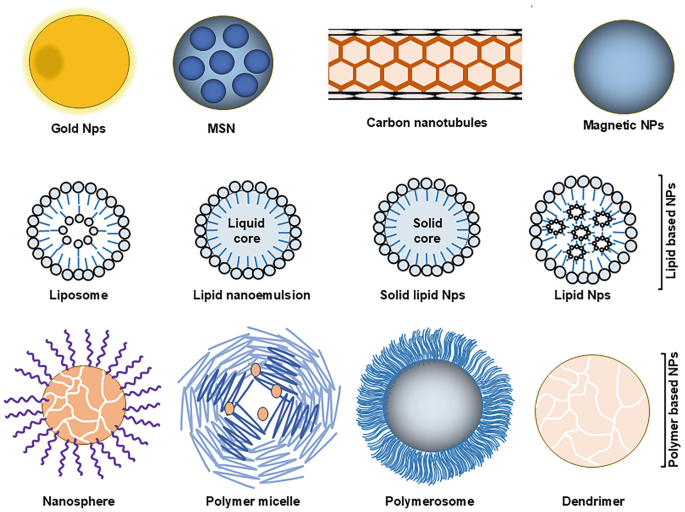Nanoparticle-Mediated Nucleic Acid Delivery in Plant Cells: Molecular ...