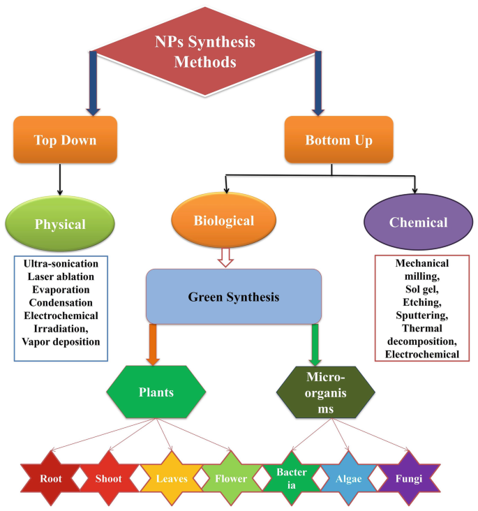 Nanoparticles in Plant Sciences: Types, Synthesis and Applications ...