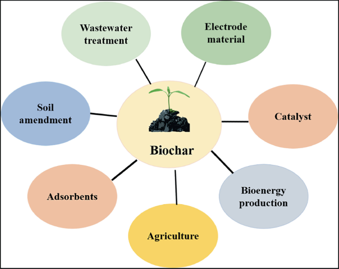 Biochar-Enhanced Biofertilization: Boosting Soil Microbial Activity ...
