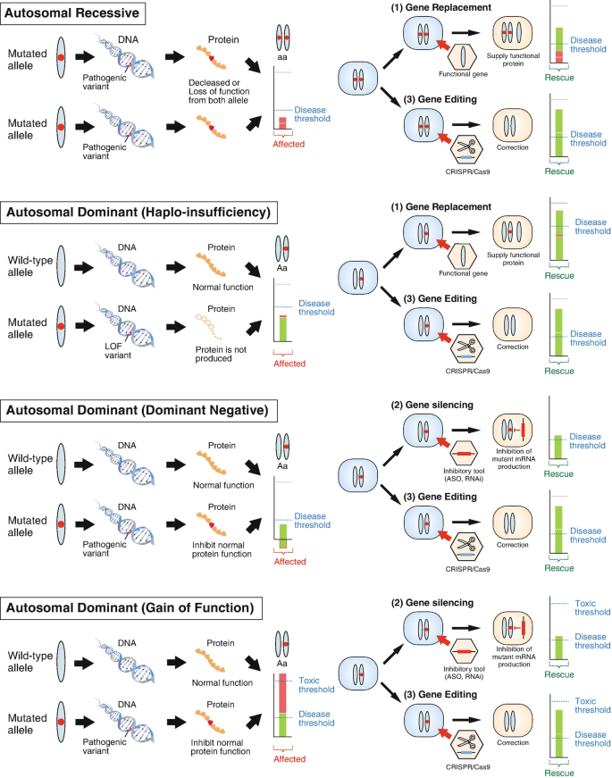 Gene Therapy and Mechanism-Based Drugs: Toward More Precise Treatment ...