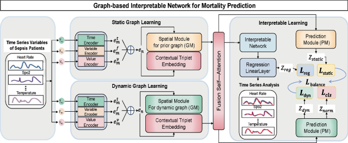 GraIS: Graph-Based Interpretable Network for Sepsis Mortality Prediction Using Multi-modal ...