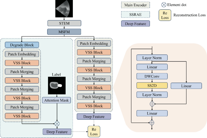 FaRMamba: Frequency-Based Learning and Reconstruction Aided Mamba for ...