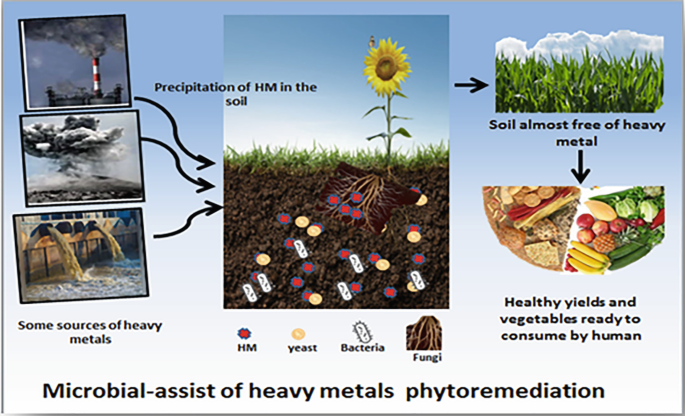 Remediating Heavy Metals from the Environment via Secondary ...