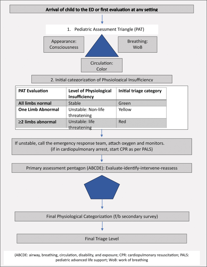Triage and Transport of Pediatric Trauma Victims | Springer Nature Link