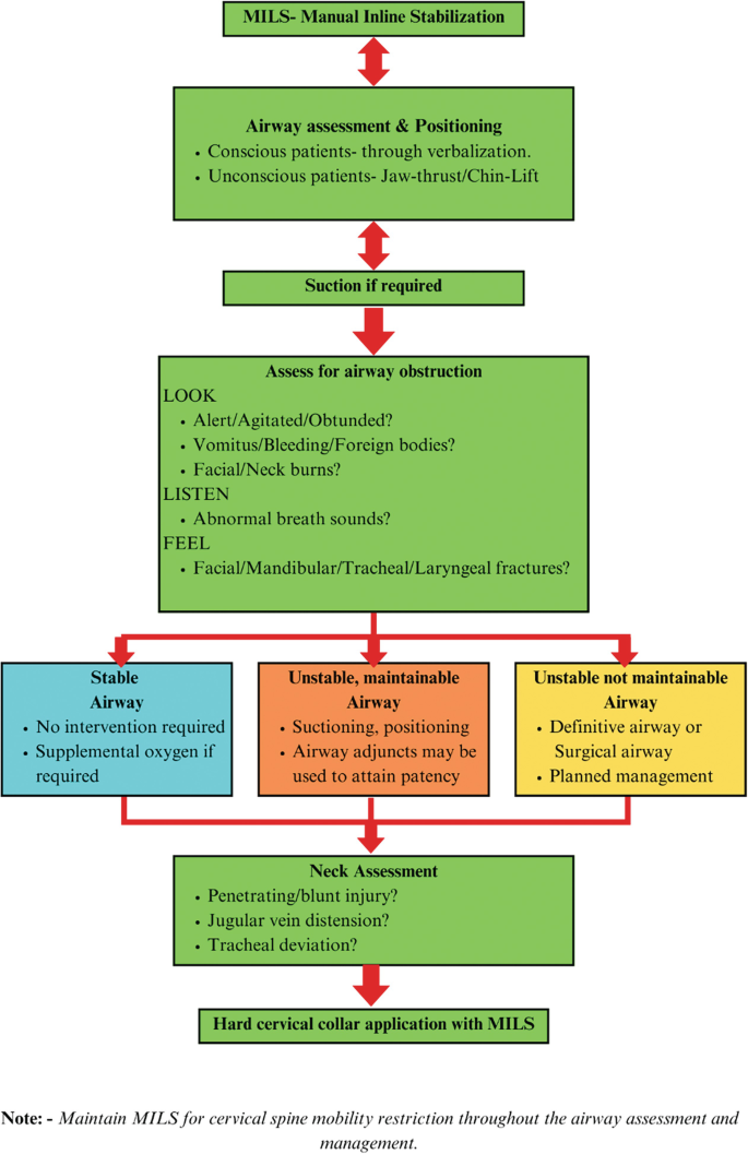 Emergency Room (ER) Evaluation of a Child with Trauma | Springer Nature ...