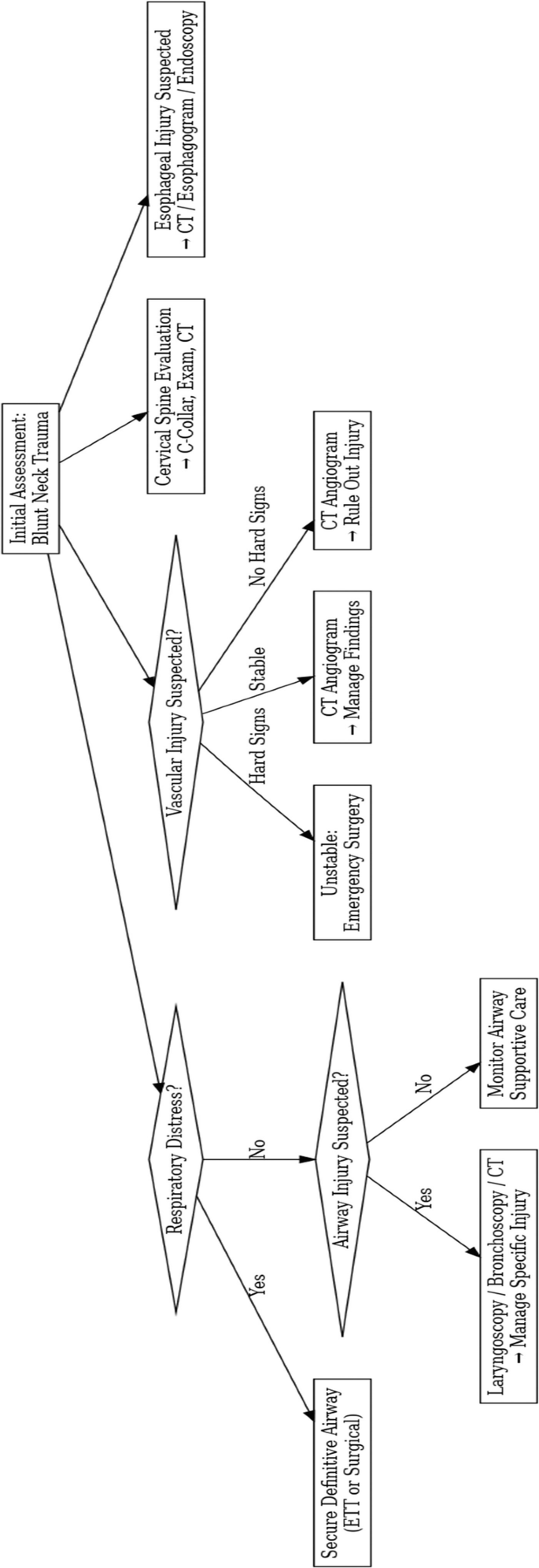Pediatric Neck Trauma | Springer Nature Link