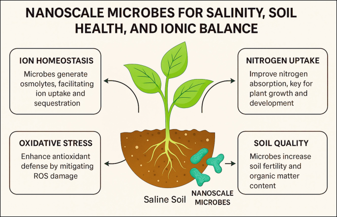 Microbial Nanoscale Advances in Crop Health Management | Springer ...