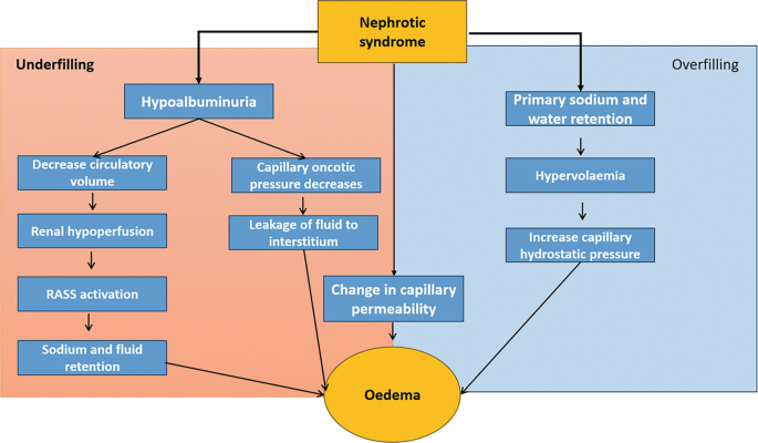 Fluid in the Third Space—From Theories to Treatment | Springer Nature Link