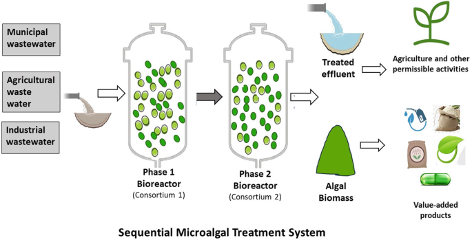 Sequential Microalgae Cultivation System to Treat Wastewater ...