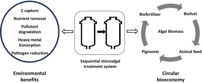 Sequential Microalgae Cultivation System to Treat Wastewater ...